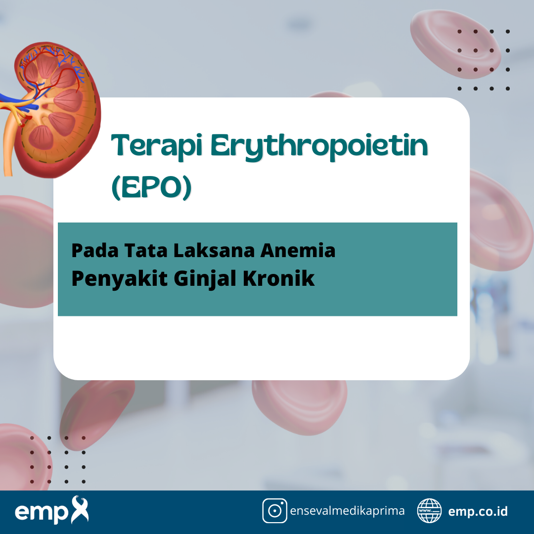 Terapi Erythropoietin (EPO) Pada Tata Laksana Anemia Penyakit Ginjal Kronik – PT. Enseval Medika ...